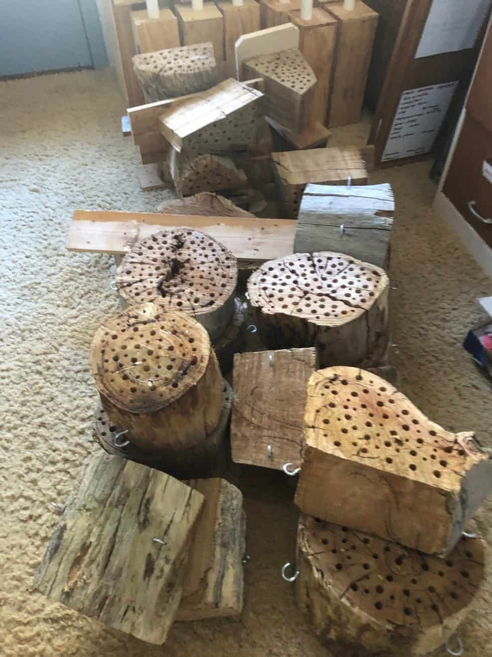 Insect hotels and bird nesting boxes for firegrounds | SAVEM